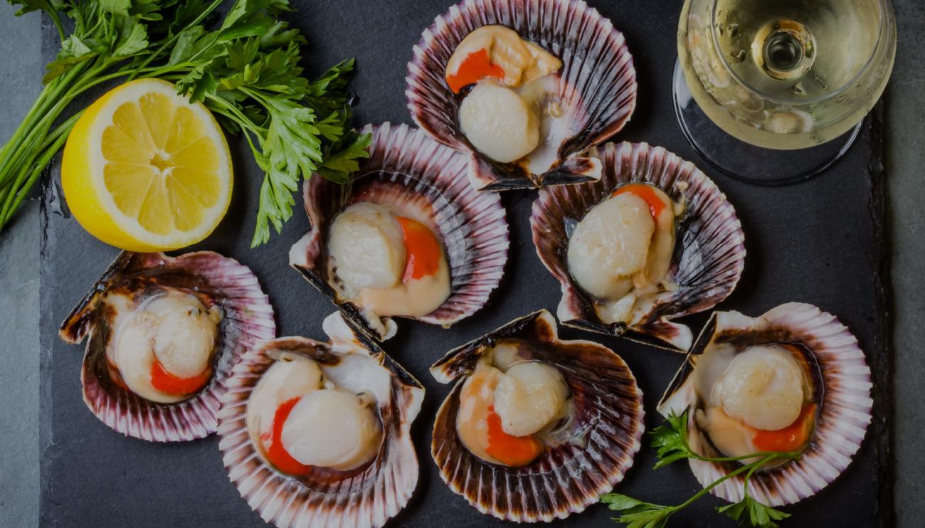 Menu | Colona Restaurant | Food & Beach Fun in Poros